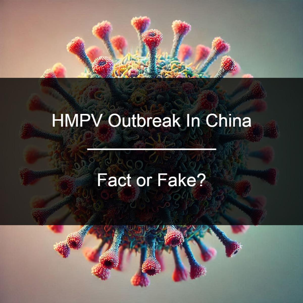 The HMPV Outbreak in China: Fact or Fiction? | VisMin Provincial News